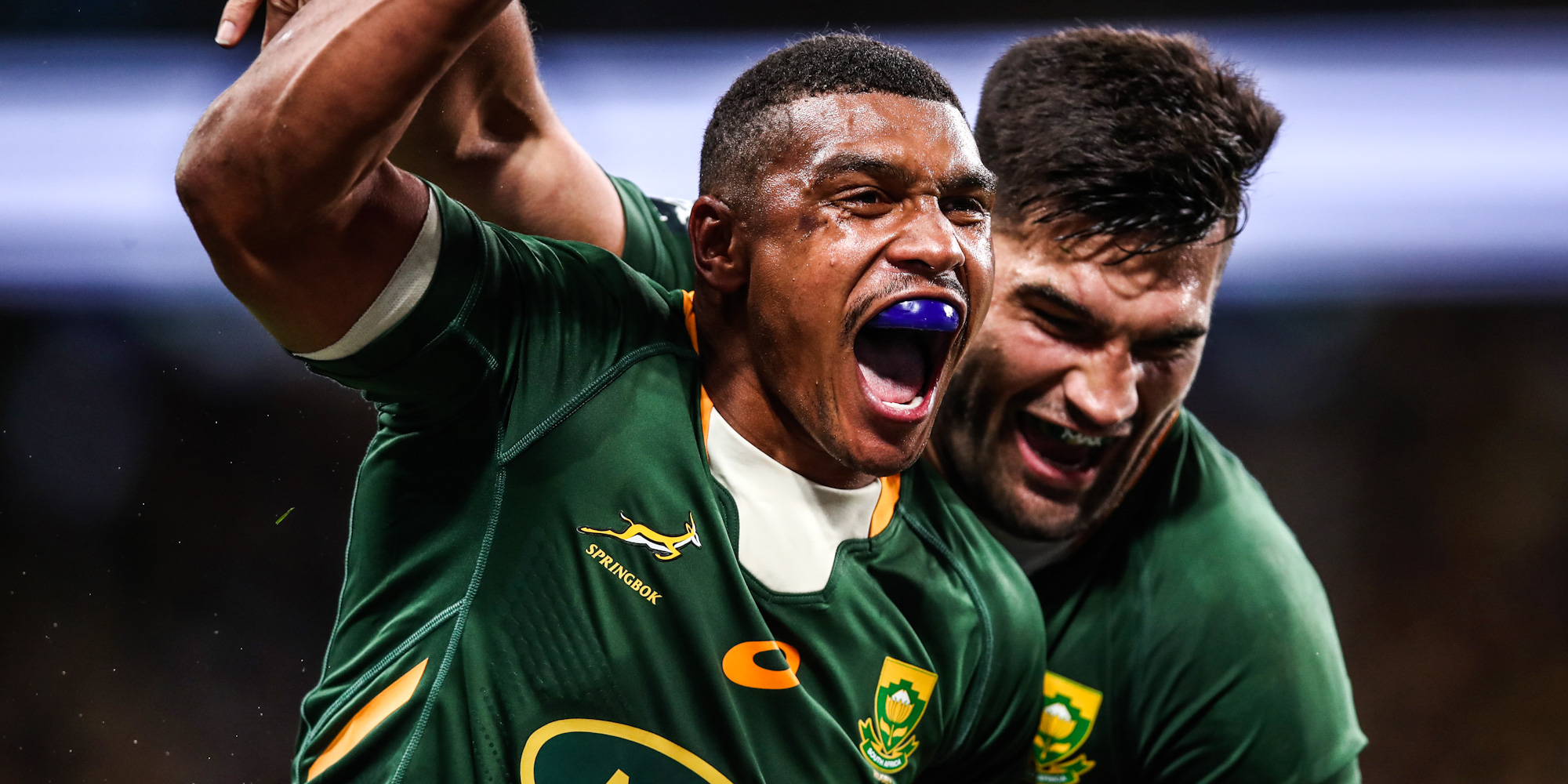 Springboks hit back in style with bonus point win | SA Rugby